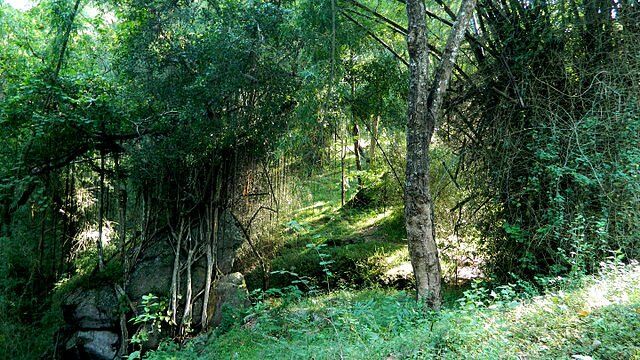 1 Day Pollachi Tour Package | Best Sightseeing Tour - E India Tourism