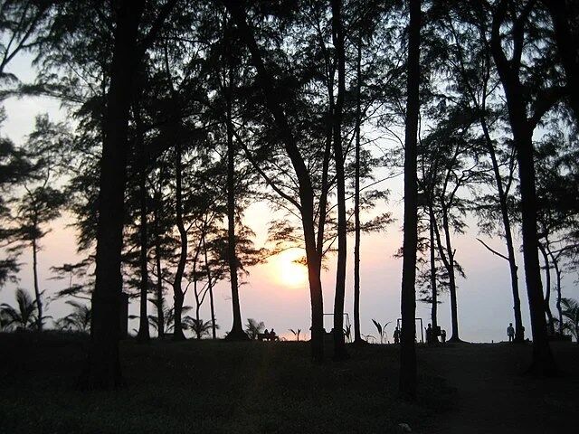 Dahanu Beach, Dahanu: A Calm and Clean Place to Enjoy the Arabian Sea ...