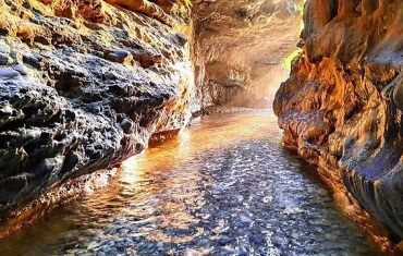 Malabar Hill Elevated Nature Trail : Best Walk Amidst The Clouds - E ...