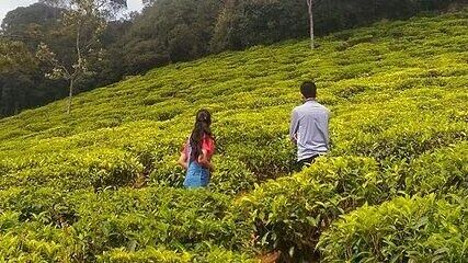 Highfield Tea Factory: Famous Tea Lover’s Paradise in Coonoor - E India ...