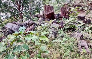 Malabar Hill Elevated Nature Trail : Best Walk Amidst The Clouds - E ...