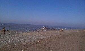 Devka Beach: Best Comprehensive Guide - E India Tourism