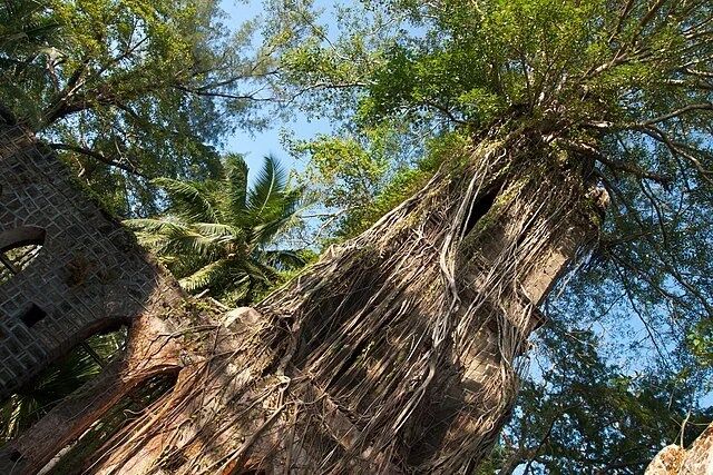 Ross Island: Best Historical Gem in the Andaman Archipelago - E India ...