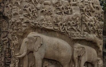 Highfield Tea Factory: Famous Tea Lover’s Paradise in Coonoor - E India ...