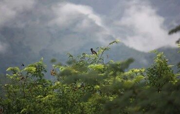 Marleshwar Temple: Famous Divine Retreat Amidst Nature's Bounty - E ...