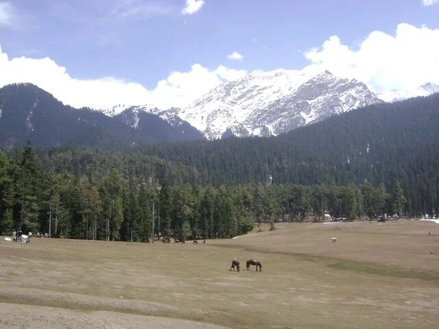 Baisaran: The Enchanting Meadow of Kashmir - E India Tourism