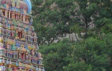 Upvan Lake: The Jewel of Thane – A Tranquil Retreat Amidst Urban Chaos ...