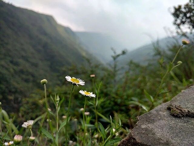 Exploring the Hidden Wonders of Arwah Caves: A Nature Lover’s Paradise ...