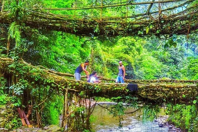 Double Decker Living Root Bridge: Meghalaya’s Natural Marvel - E India ...