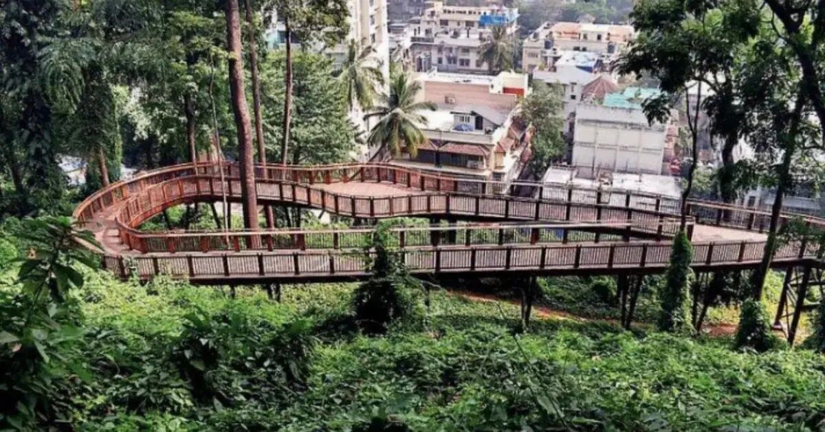 Malabar Hill Elevated Nature Trail : Best Walk Amidst The Clouds - E ...